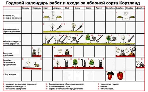 Сорт яблок Кортланд: описание, когда снимать, отзывы, фото