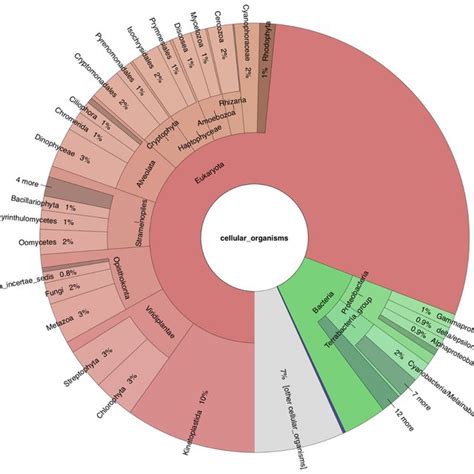 Schematic Representation Of Our De Novo Transcriptome Meta Assembly