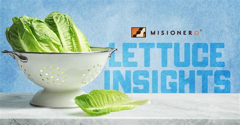 Misioneros Pete Hernandez Details Lettuce Market And Category Demand