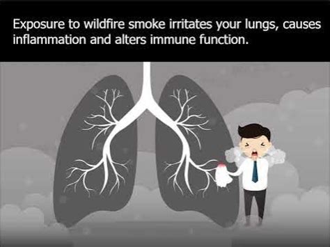 How Does Wildfire Smoke Affect My Health Youtube