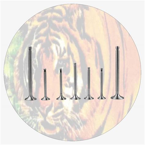 Engine Steel Valve Nozzle Element Delivery Valve At Best Price In Delhi