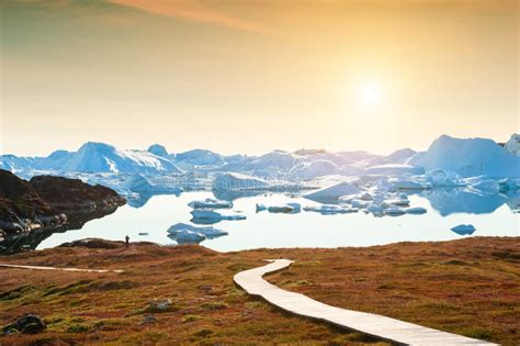 Sendero Para El Fiordo De Hielo En Ilulissat Groenlandia Occidental