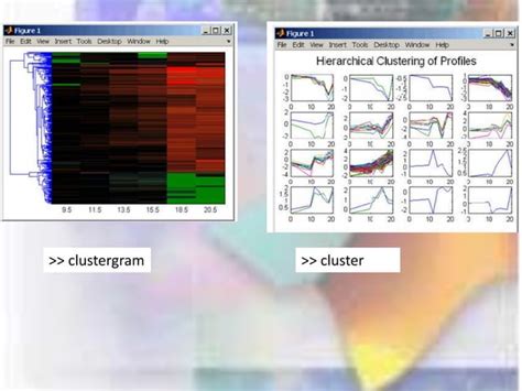Matlab Bioinformatics Tool Box Pptx