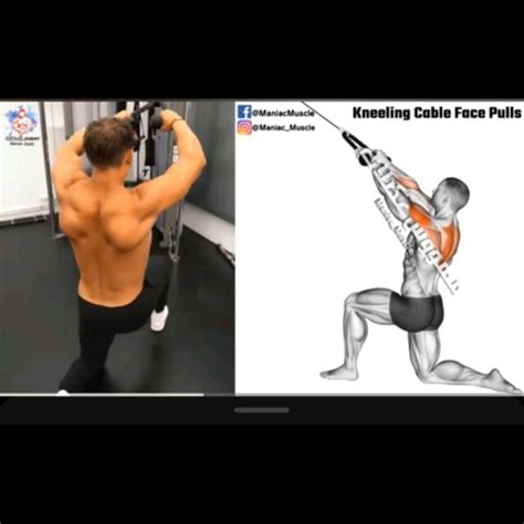 Face Pulls By Isreal E Exercise How To Skimble