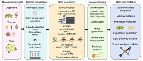 Lipidomics Pathway Analysis Service Mtoz Biolabs