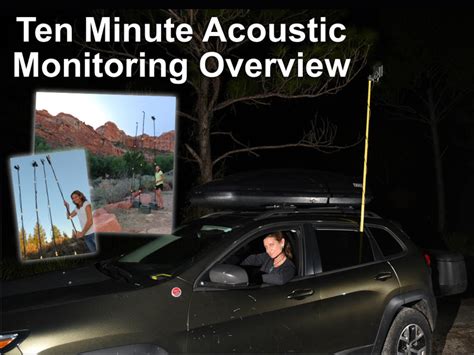 Ten Minute Bat Acoustic Monitoring Overview Bat Conservation And Management Inc