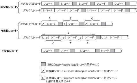 Ibmレコードの形式