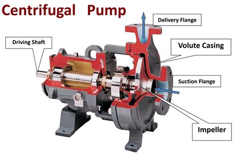 Parts Of Centrifugal Pump And Their Functions Pdf At Callum Coombes Blog