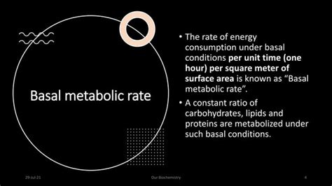 Basal Metabolic Rate Bmr Factors Affecting Bmr Measurement And