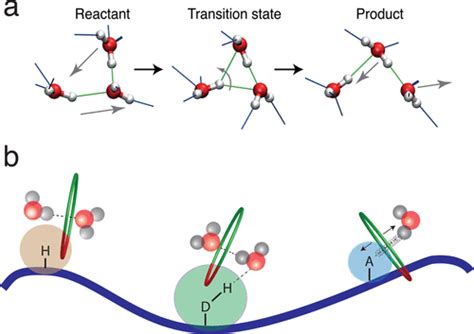 Water Dynamics In The Hydration Shells Of Biomolecules Chemical Reviews