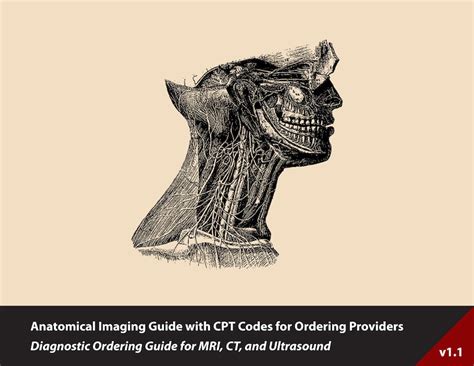 Quick Reference Cheat Sheet For Nurse Practitioners Ordering
