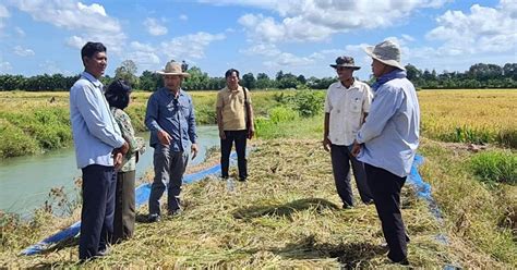 មន្ត្រីជំនាញកសិកម្មខេត្តកំពង់ចាម ចែករំលែកចំណេះដឹងខ្លីដល់កសិករស្តីពីកាត់បន្ថយការដួលរបស់ដើមស្រូវ