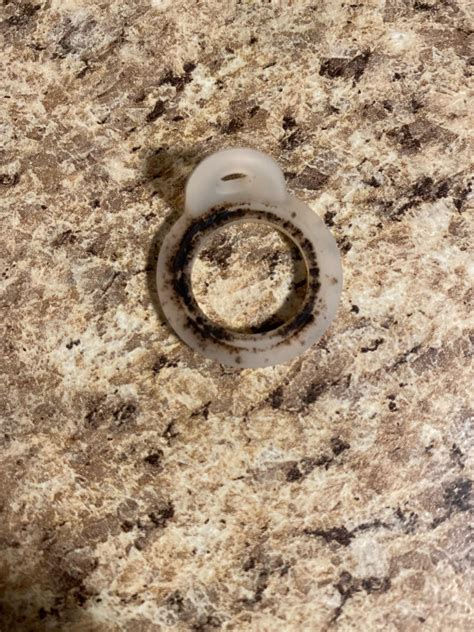 Water Bottle Rubber Seal Black At Ellen Hannan Blog