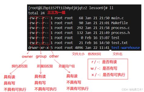Linux：shell命令运行原理和linux权限的概念 Csdn博客