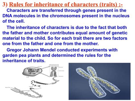 Heredity And Evolution Cbse Class X Ppt Pptx