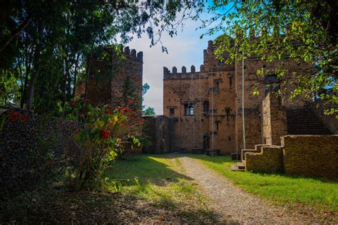 Home Simien Fox Trekking Ethiopia