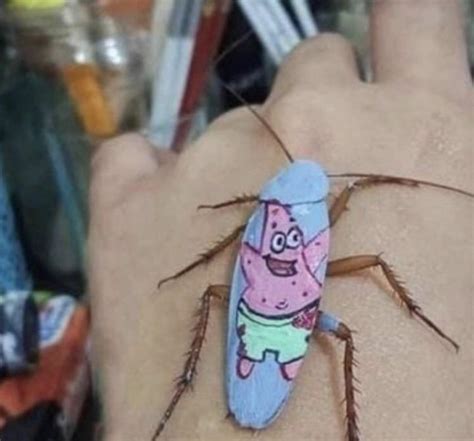 Cursed Turkey Rcursedimages