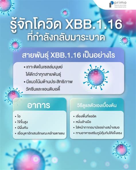 รู้จัก โควิด Xbb 1 16 หรือ อาร์คตูรุส สายพันธุ์ใหม่