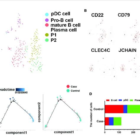 B Cells In Human Fracture Tissue A T Sne Visualization Of B Cell