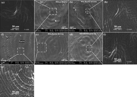 Sem Micrographs Revealing The Surface Morphology Of The Overall Ablated