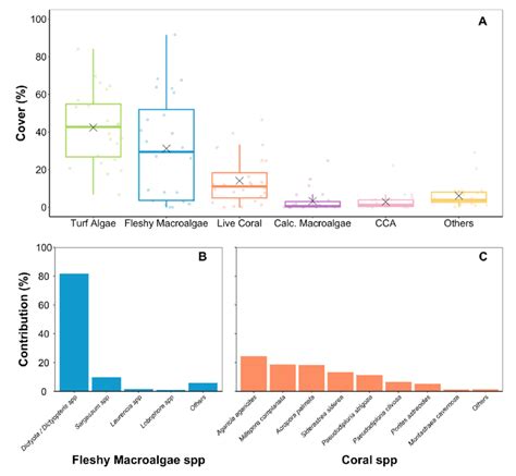 A Percentage Cover Of Benthic Organisms In The Reefs Surveyed On The Download Scientific