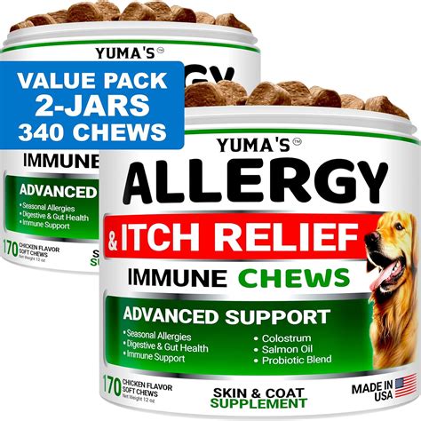 Amazon.com : 2-Pack Dog Allergy Relief Chews - Dog Itching Skin Relief Treatment Pills - Anti ...
