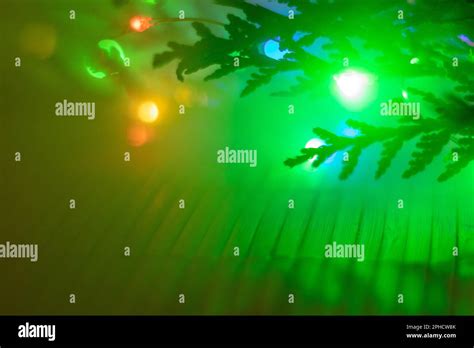 Christmas Lights And Christmas Tree Bracnh With Copy Space Xmas Decoration With Branch And