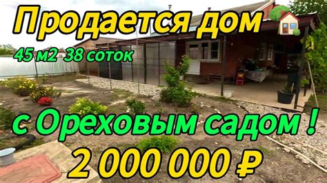 🏡Продан дом 45м2🦯38 соток🦯газ🦯вода🦯2 000 000 ₽🦯станица Канеловская🦯89245404992 Виктор С🌴 Youtube