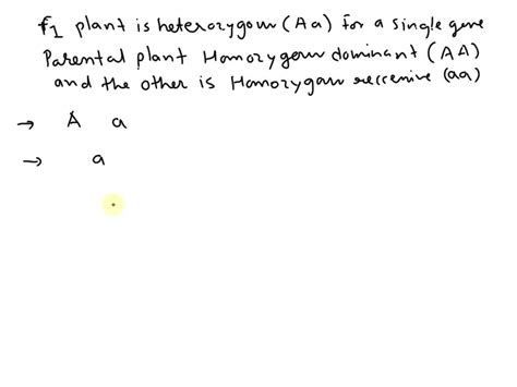 Solved If An F1 Plant Is Backcrossed To One Of The Pure Breeding