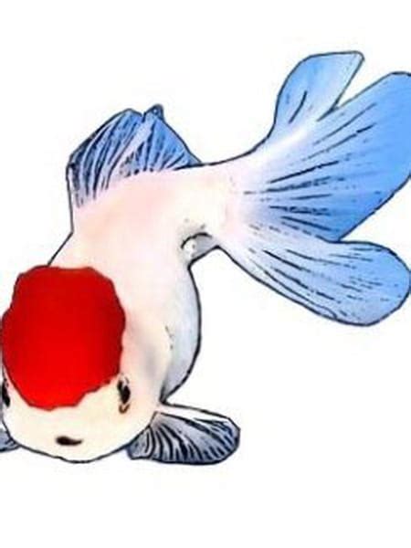 Julien Loisel Julien Aquamulti Services Viadeo