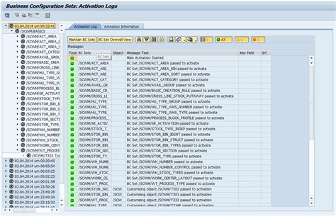 Error While Activating Scwmbasics Sap Community