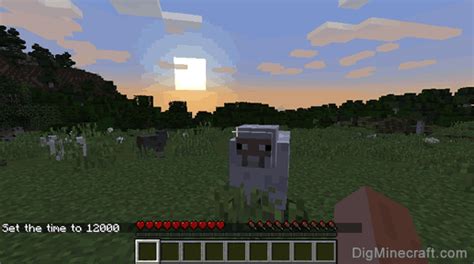 How To Set Time To Night In Minecraft