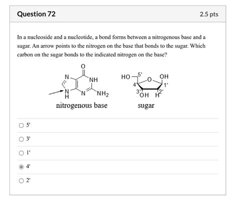 Question 72 25 Pts In A Nucleoside And A Nucleotide A Bond