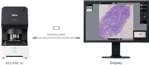 Eclipse Ui Digital Microscopes Microscope Products Nikon Instruments Inc