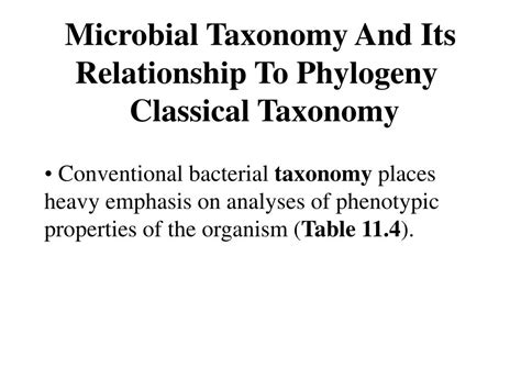 Ppt Chapter 11 Microbial Evolution And Systematics Powerpoint Presentation Id308553