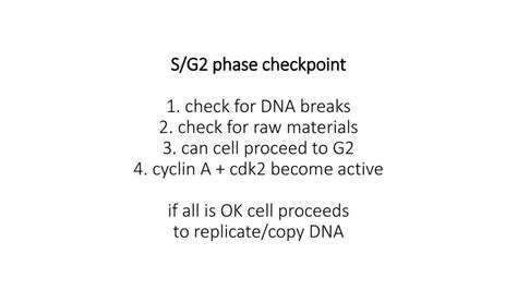 bio 1005 chapter 6 how cells divide dr joseph silver ppt download