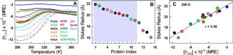 Figure 3 From Controlling Structure And Dimensions Of A Disordered Protein Via Mutations