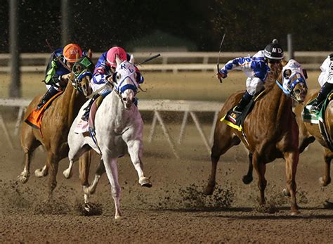 Ima Fancy Eye Opener Continues Winning Ways Taking Mighty Deck Three