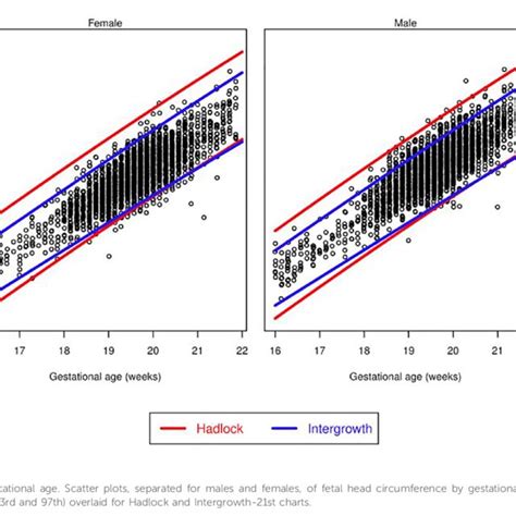 Prevalence Of Microcephaly And Macrocephaly By Sex Download