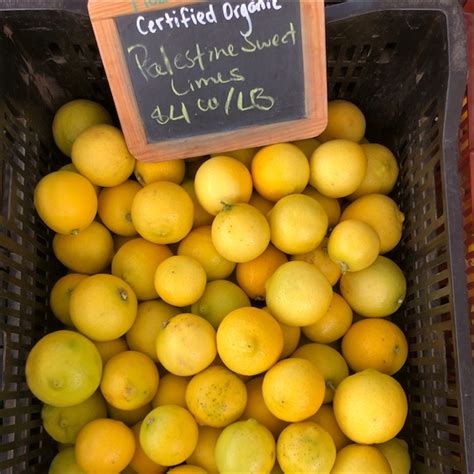 Sweet Limes Lima Dulce Information Recipes And Facts