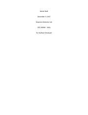 Sequence Detector Lab Docx Kamal Wat December Sequence Detector Lab CSE W L