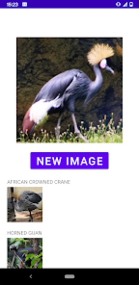 Bird Identifier Per Android Download