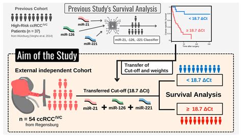 Critical Evaluation Of A Microrna Based Risk Classifier Predicting Cancer Specific Survival In