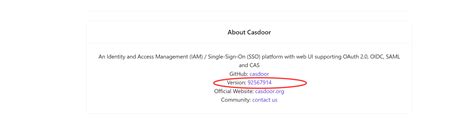 fetch accurate casdoor version in system info page even for both git