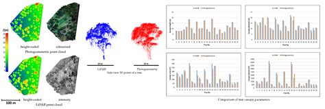 Individual Tree Canopy Parameters Estimation Using Uav Based Photogrammetric And Lidar Point