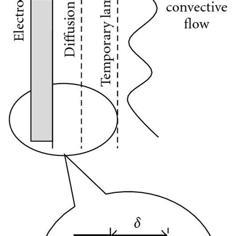 schematic representation of the diffusion and boundary layers at the