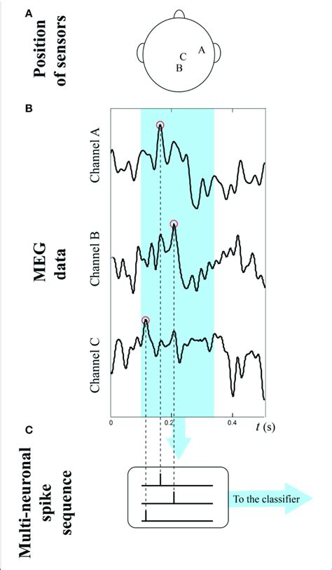 Multi Neuronal Spike Sequence Generation Processa Position Of