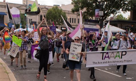 Sex Repulsed And Averse Aces Part Ii The Ace And Aro Advocacy Project