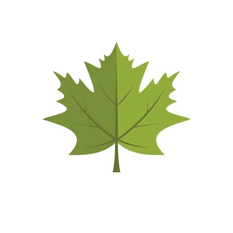 Maple Leaf Icon Flat Style 14491623 Vector Art At Vecteezy