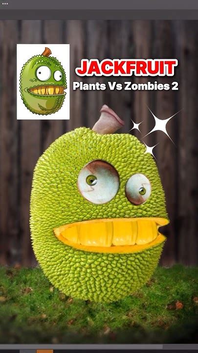 🍈 Jackfruit Plants Vs Zombies 2 In Real Life Plantsvszombies Speedart